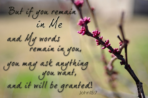 At The Feet Of The Shepherd: Ingredients of Effective Prayer (10)