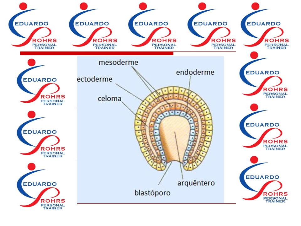 Professor Eduardo Rohrs: dezembro 2011
