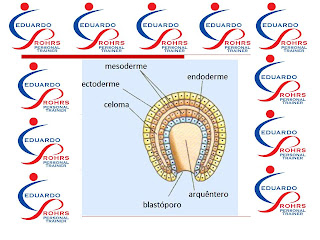 Professor Eduardo Rohrs: dezembro 2011