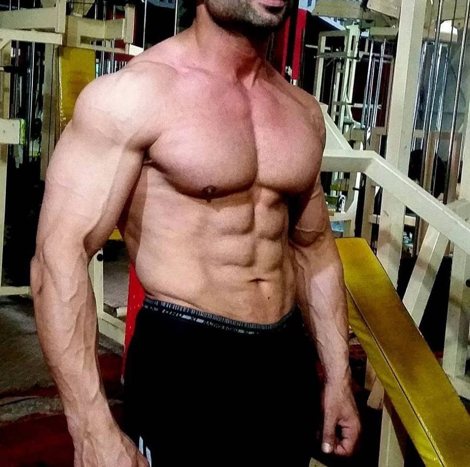 world bodybuilders pictures: bull bodybuilder from pakistani pashtune ...