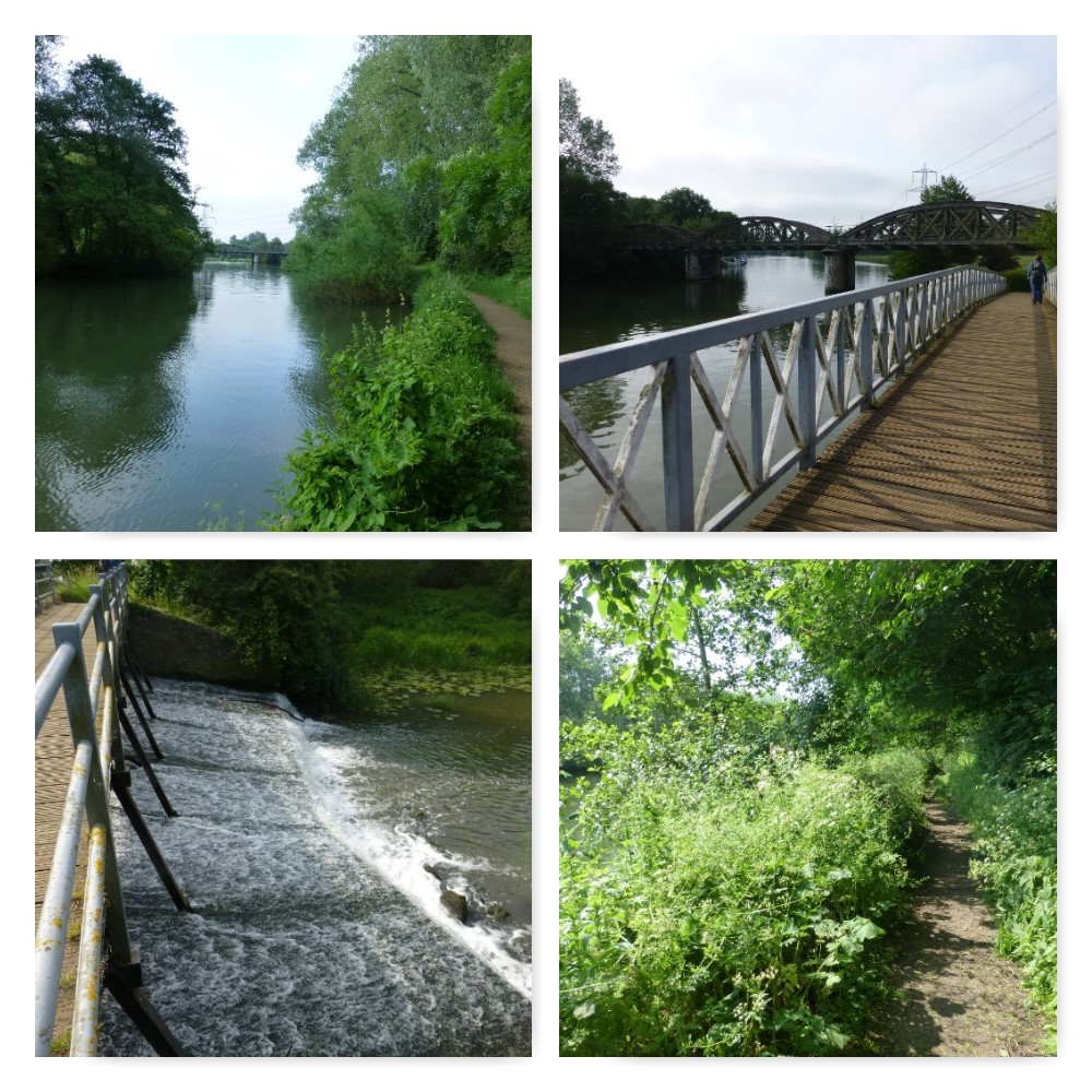 Glynis & Pete's Thames Path: Day 6 - Iffley Lock (Oxford) to Culham ...