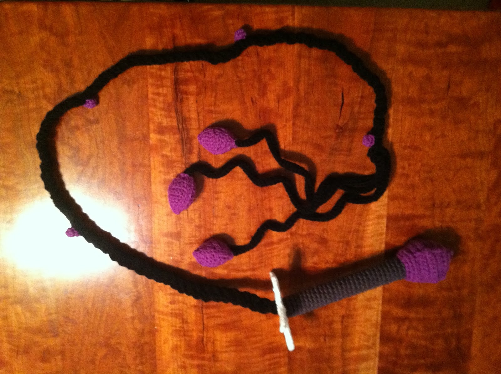 Heart in Flight Crochet: Crocheted Amethyst Whip Pattern From Steven ...