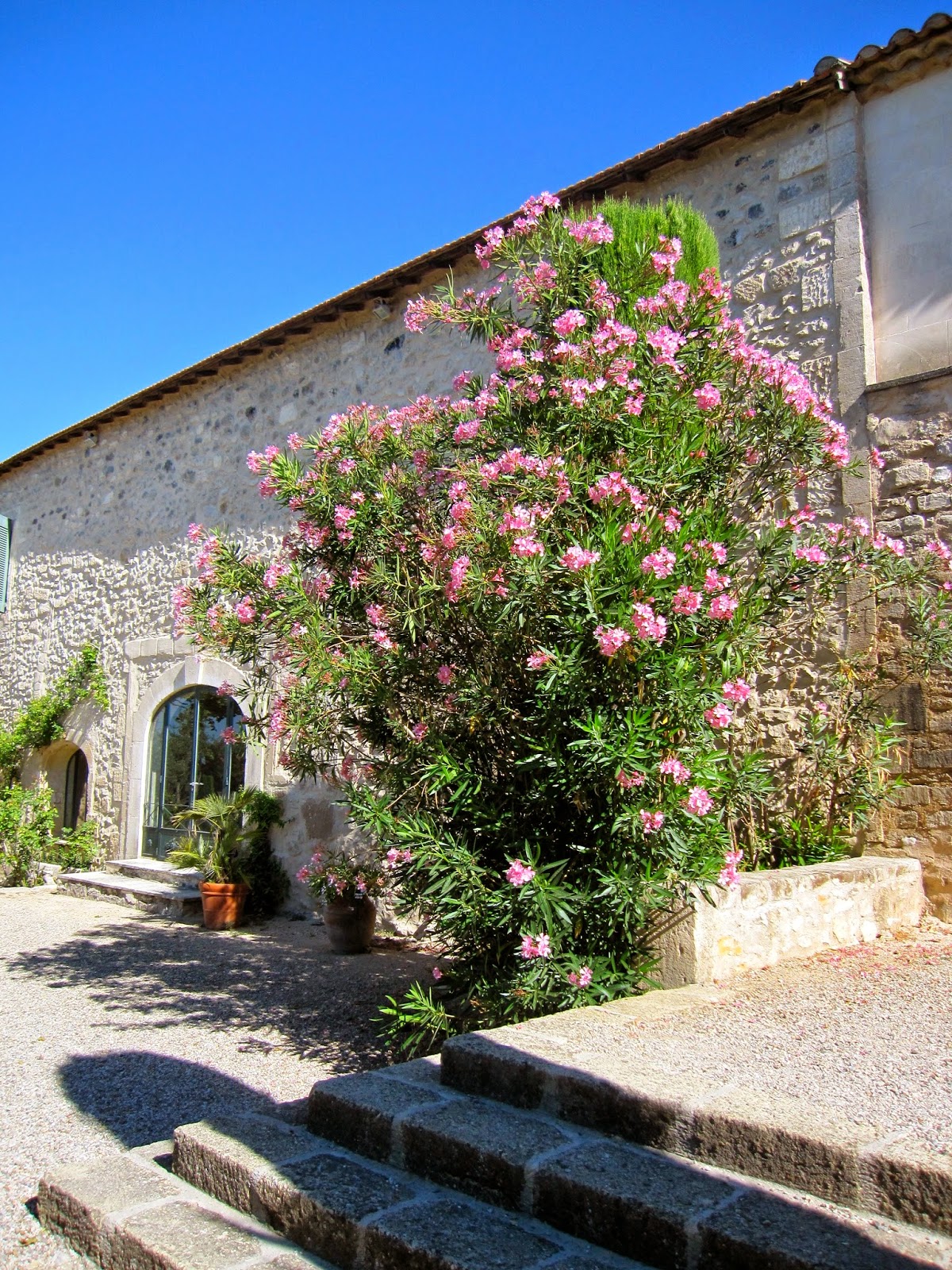 Destination: Fiction: Mystery Flowers