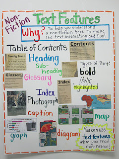 Informational Text | Fun in Room 4B