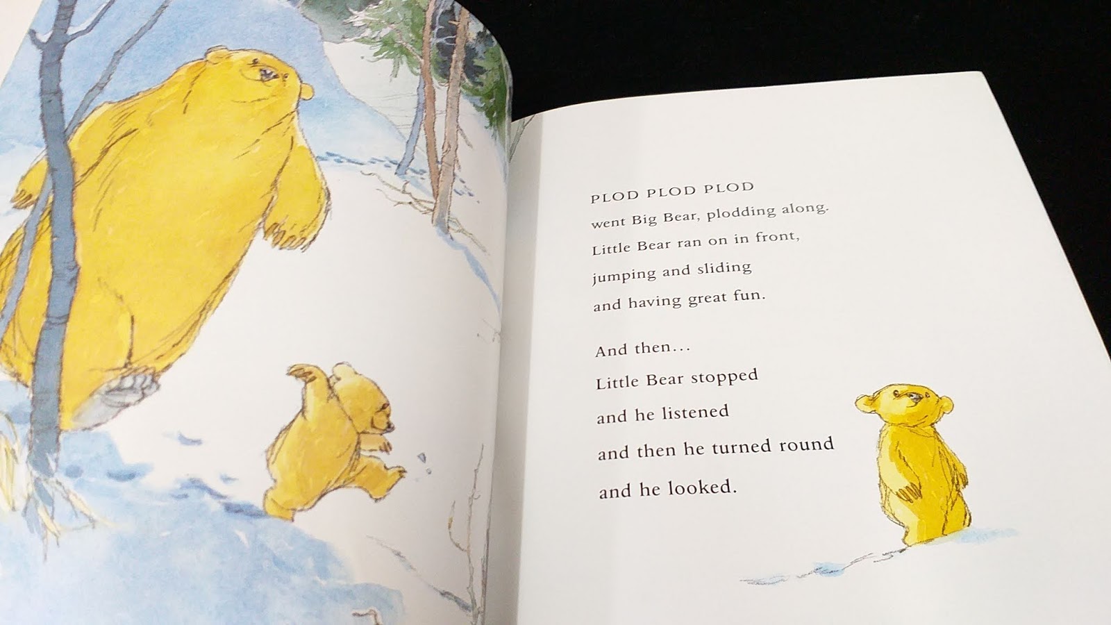 Kid Books Blog: 229.Can't you sleep, little bear / Let's go home ...