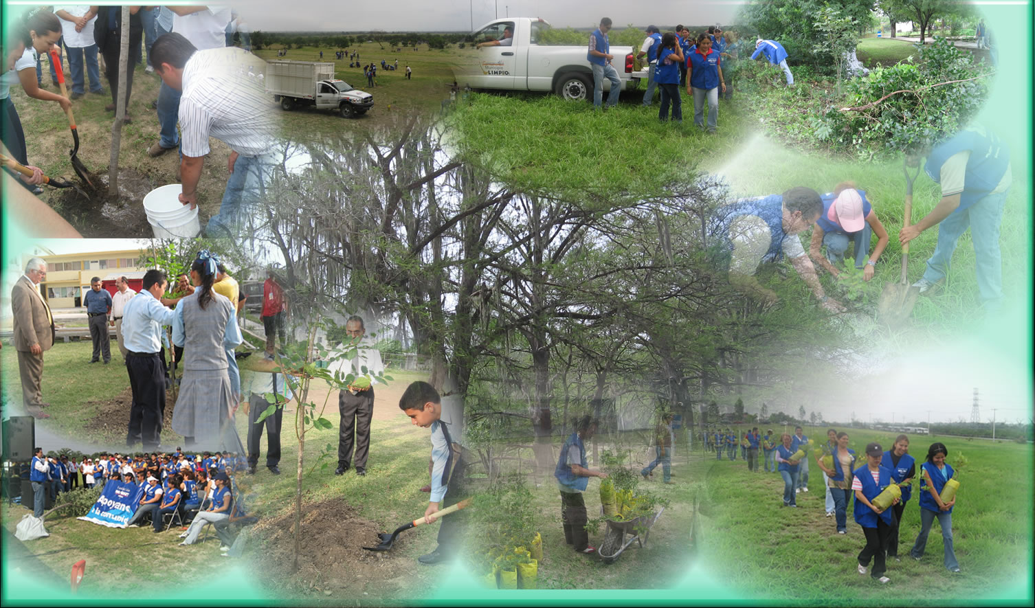 reforestame: REFORESTACION