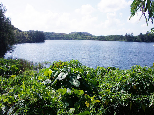 Mambulaoans WorldWide Buzz: Expert cautions against economic use of ...