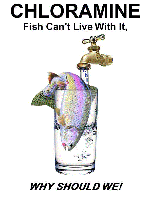 Dask Services: WATER