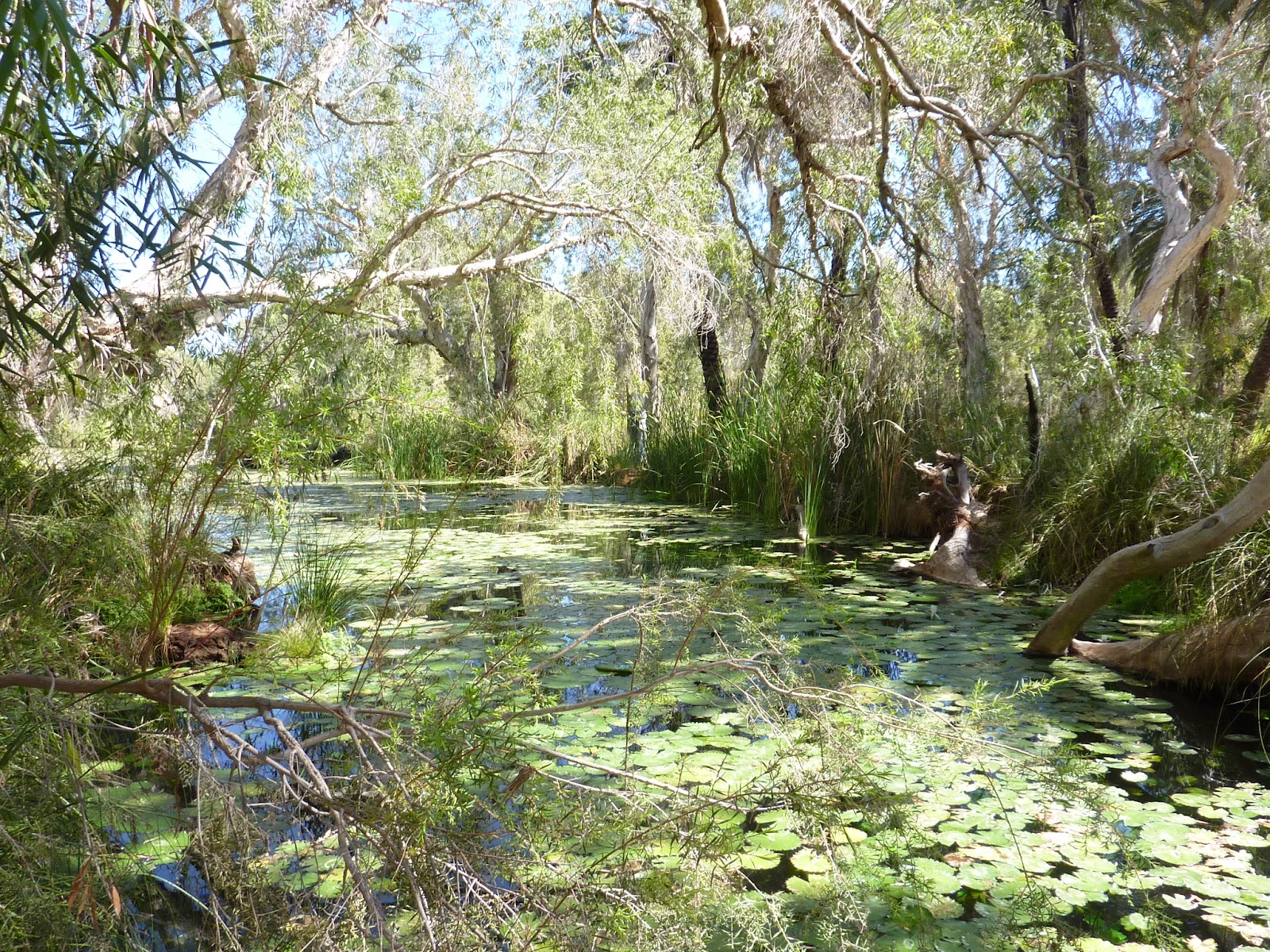 Outback Adventure: Complete - Millstream Chichester National Park