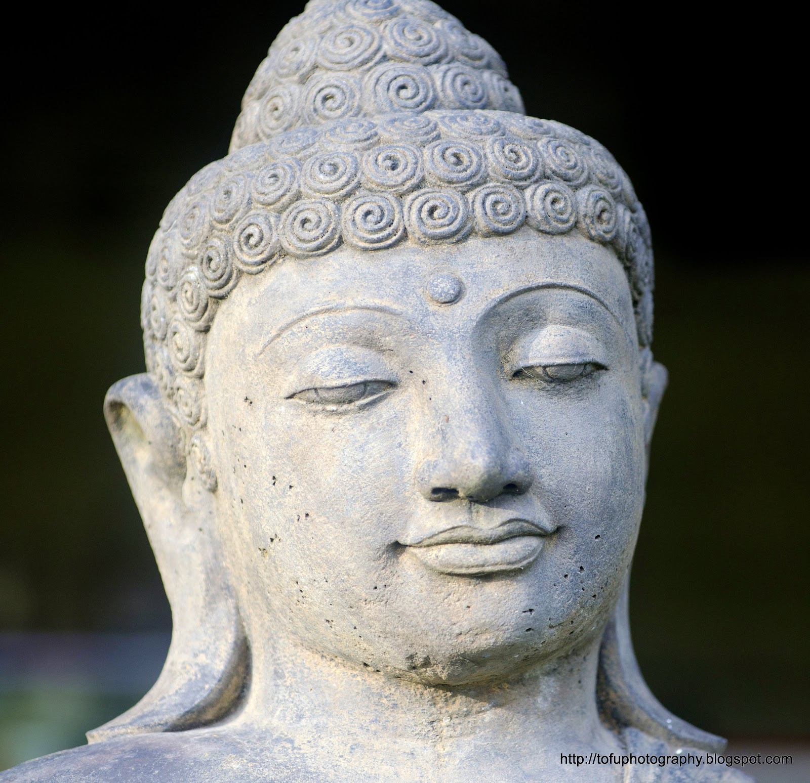 Tofu Photography: Stone Buddha
