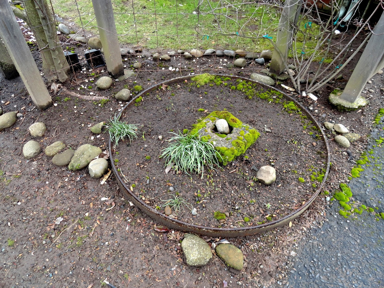 danger garden: A day in the life of a frustrated gardener...