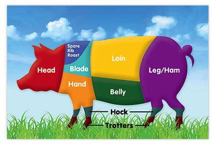 what part of the pig does bacon come from