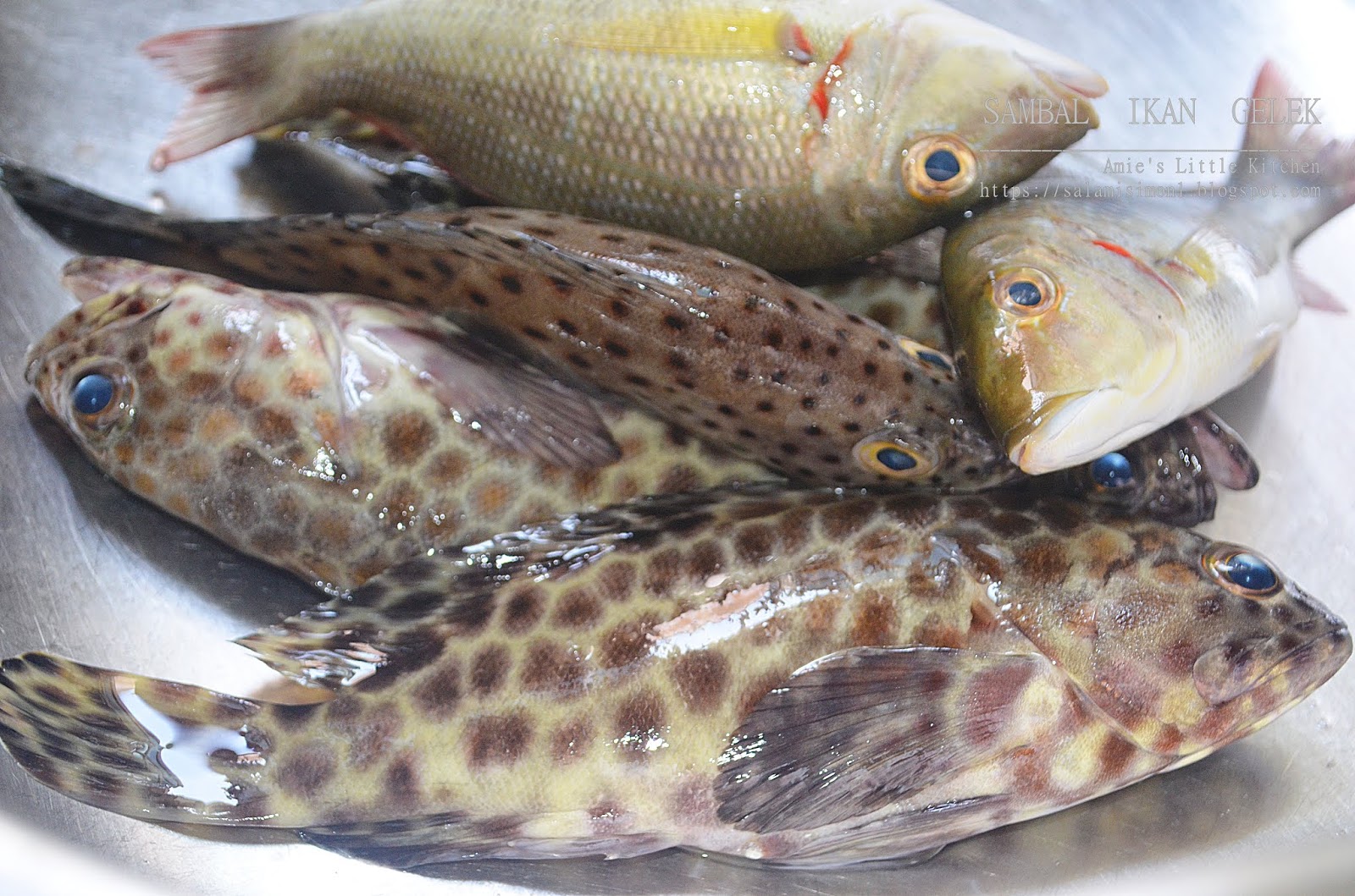 Sambal Ikan Gelek - Amie's Little Kitchen