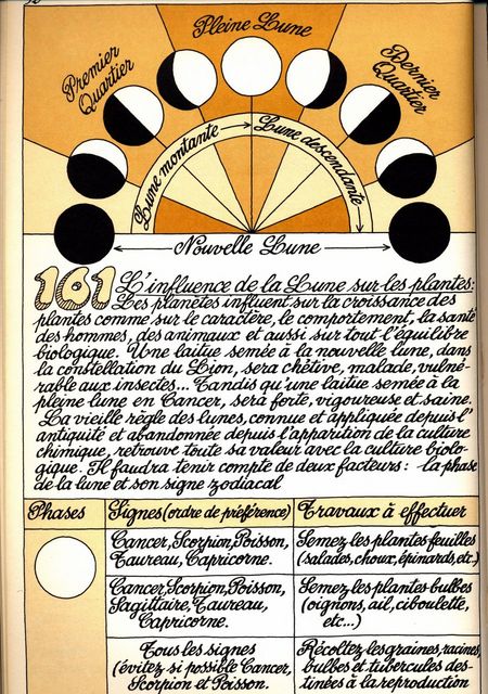 misako mimoko: Savoir revivre