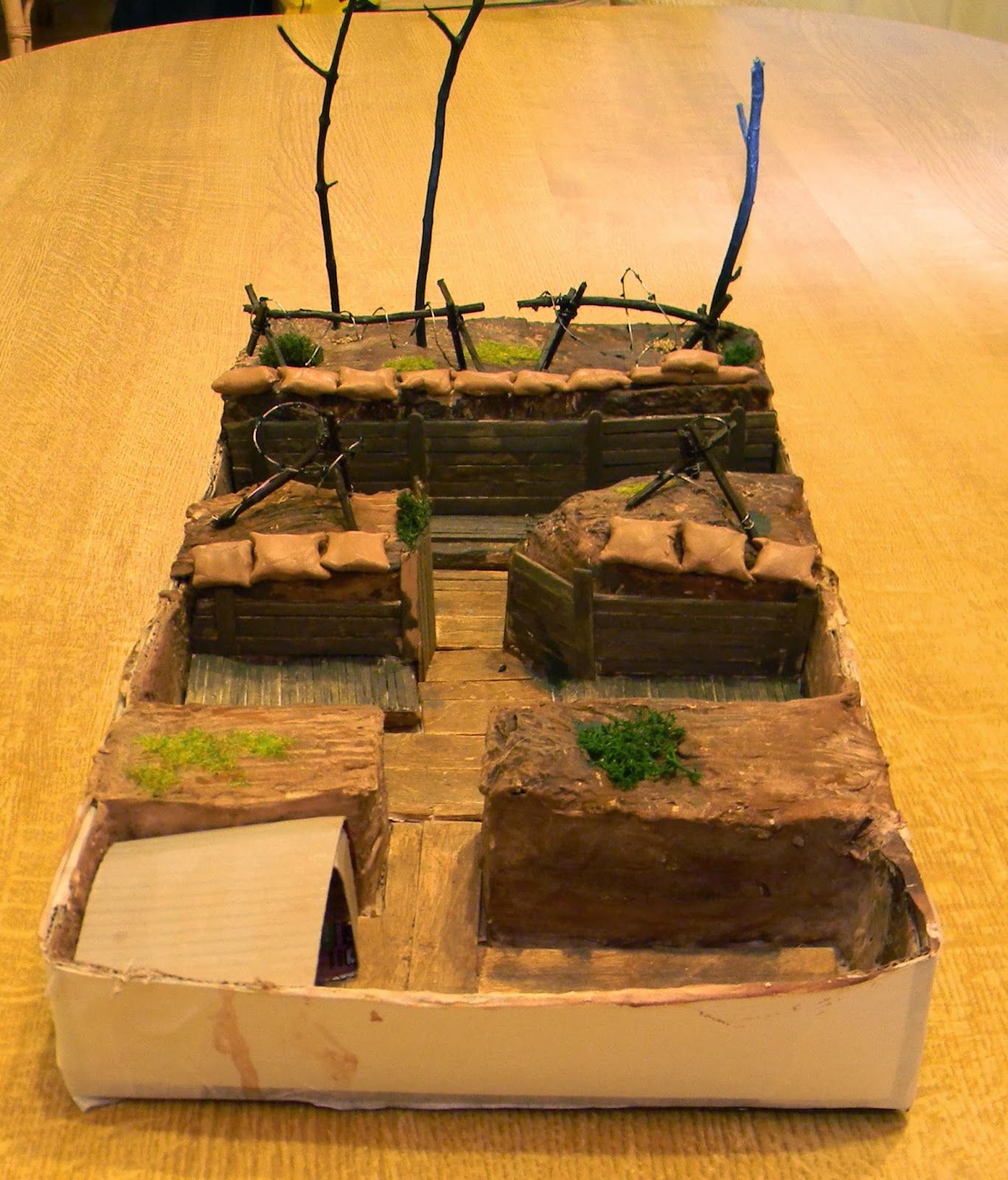 Mad Mind Creations: WWI Trench project