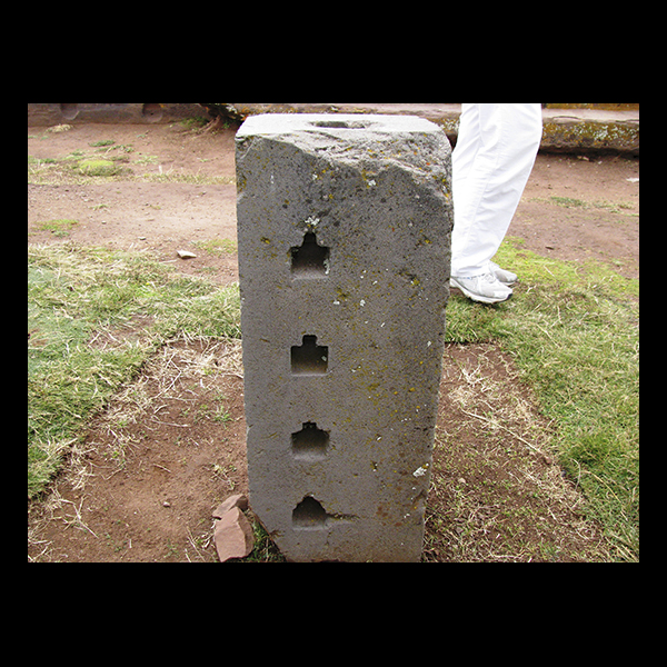 PUMA PUNKU | The World