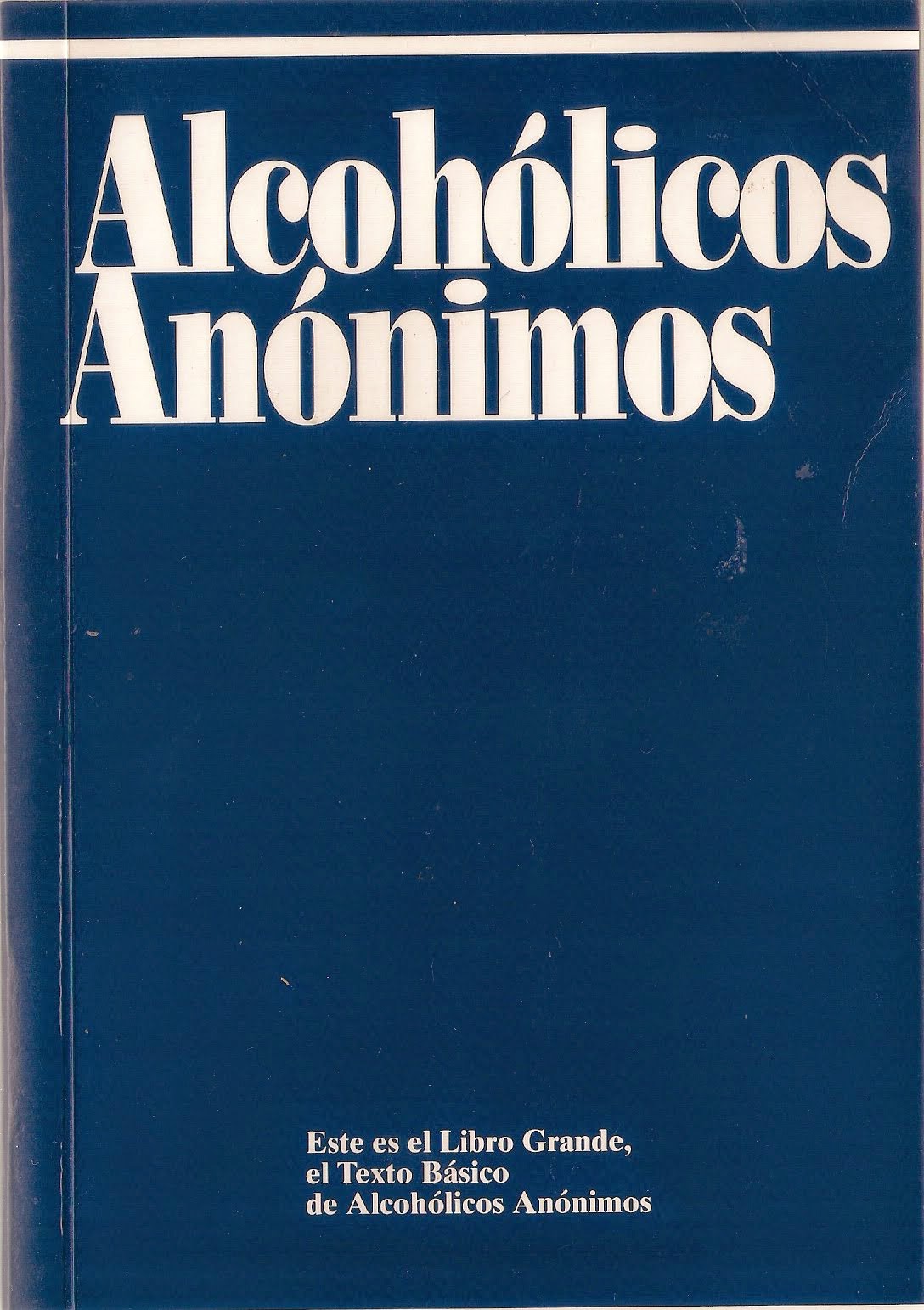 alcohólicos anónimos grupo p.v. (San Sebastian - Donostia): Libro grande