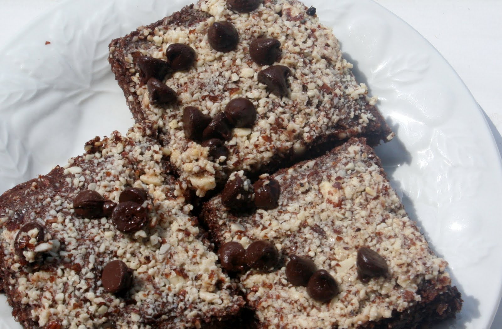 Grain Crazy: Chocolate Coconut Protein Bars Gluten Free