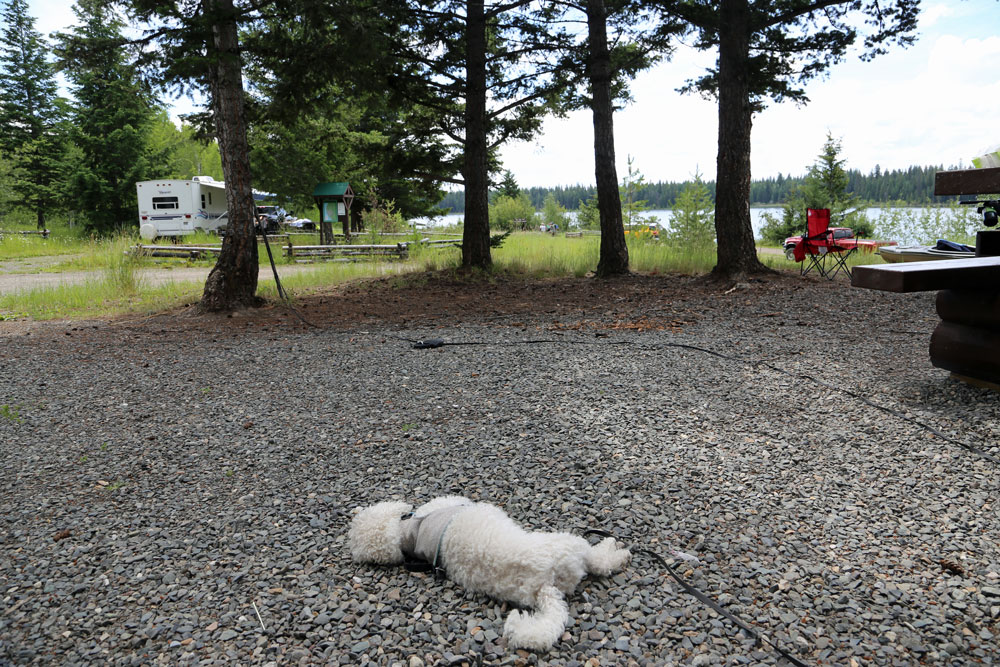 usbackroads™: cabackroads--Helena Lake BC Forest Service, 100 Mile ...
