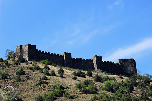 JA U KUHINJI...: Dolina jorgovana - Filija (flija, redača)
