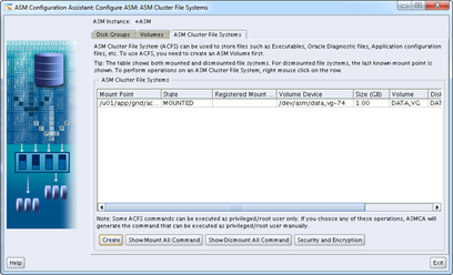 ORACLE HOME: ASM Cluster File System (ACFS)