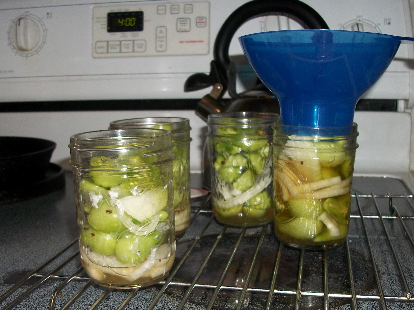 White Trash Home and Garden: Making Pickles: My New Obsession