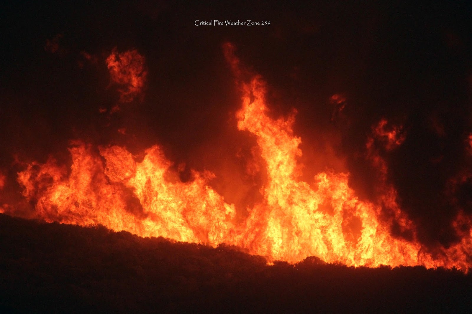 Zimmerman Media LLC: Critical Fire Weather Zone 259, Gusty Winds and ...