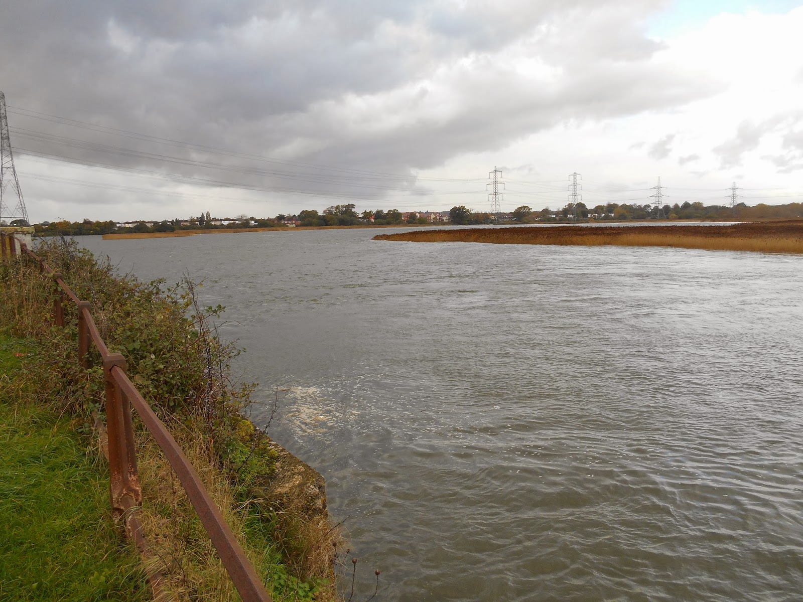 Nature Notes and Observations: High Spring Tide at Redbridge and Lower ...