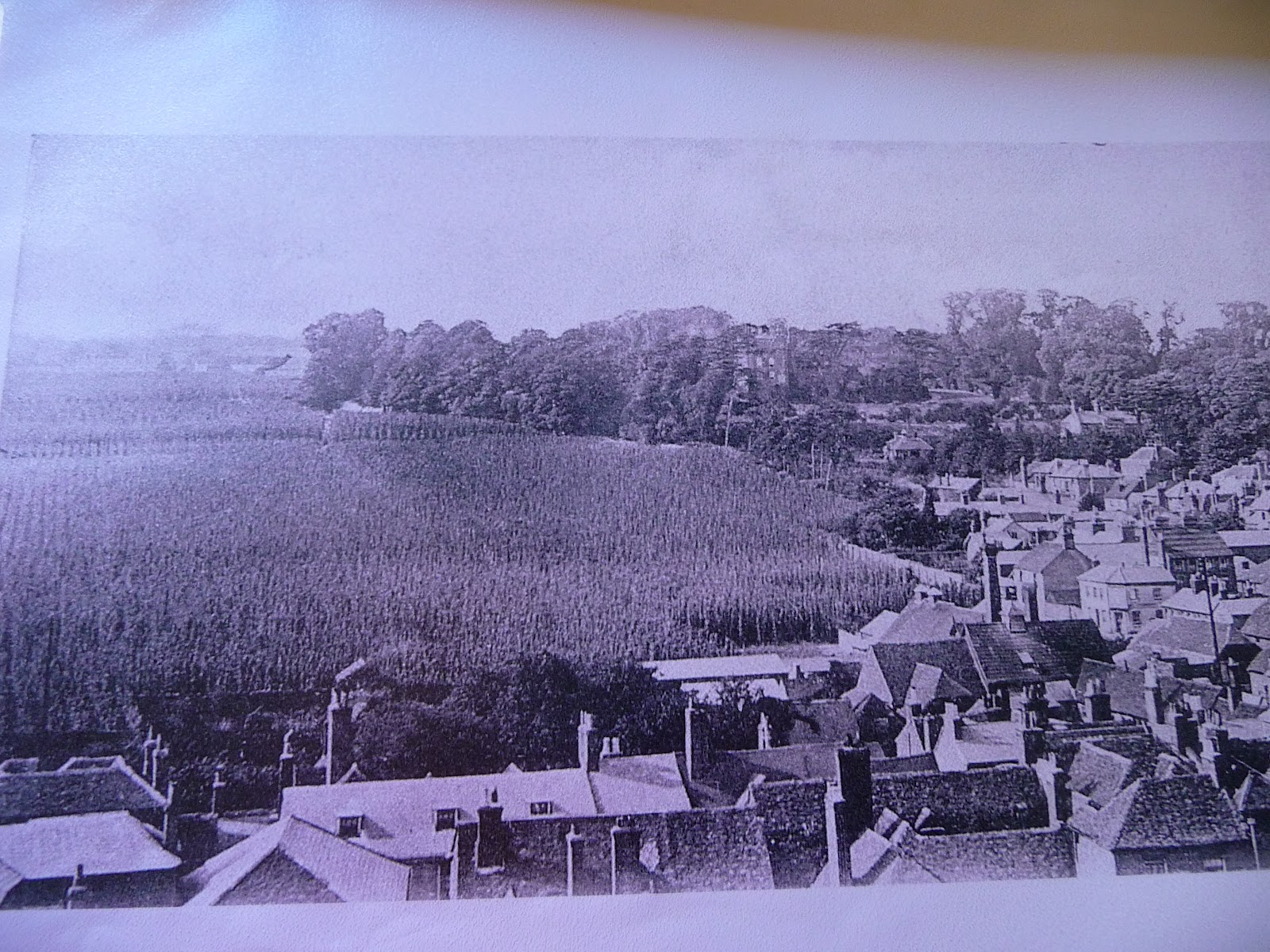 Ed's Beer Site: Heritage open day in Farnham