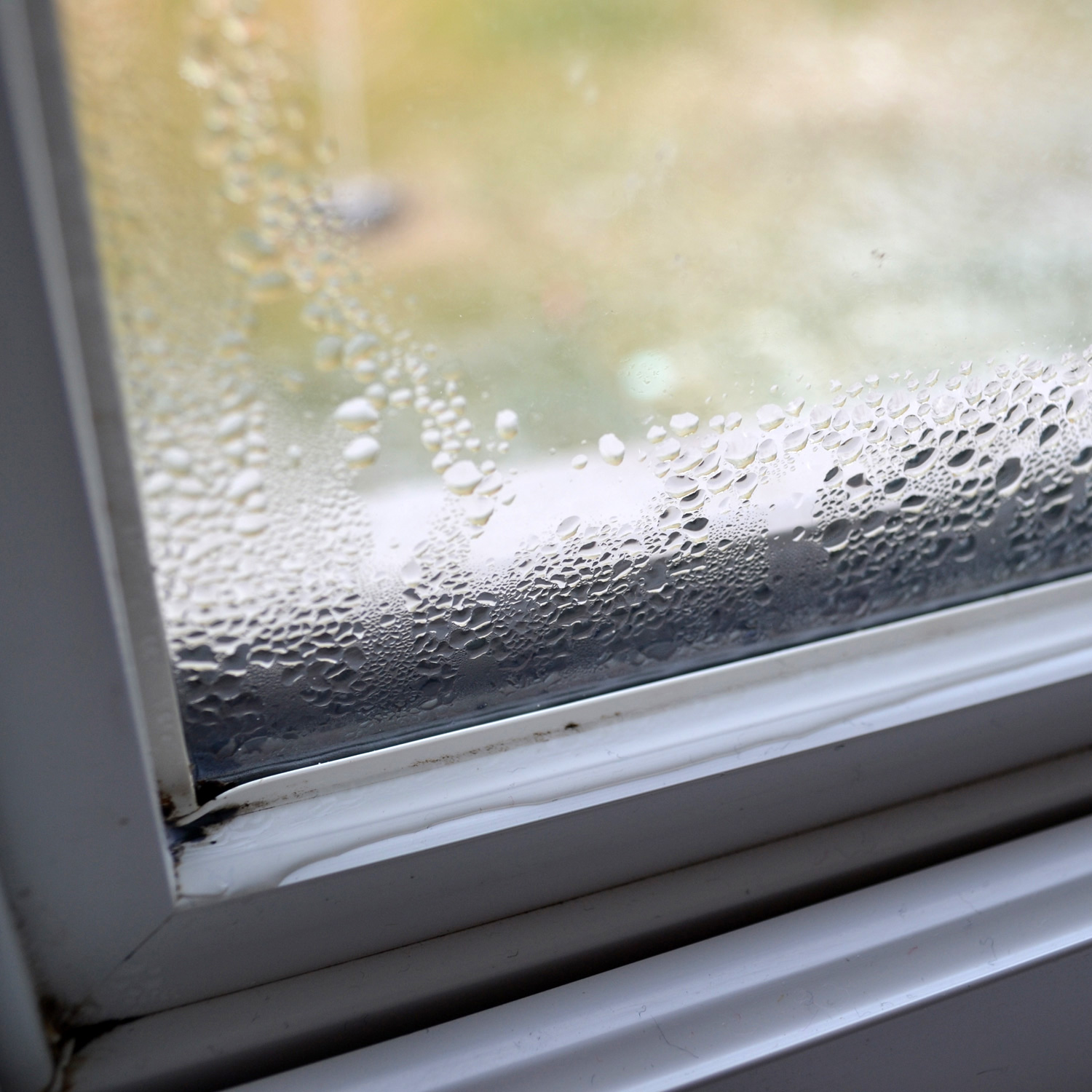 HomeReminders: Wet "Winter" Windows