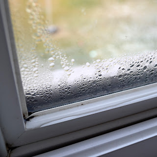 HomeReminders: Wet "Winter" Windows
