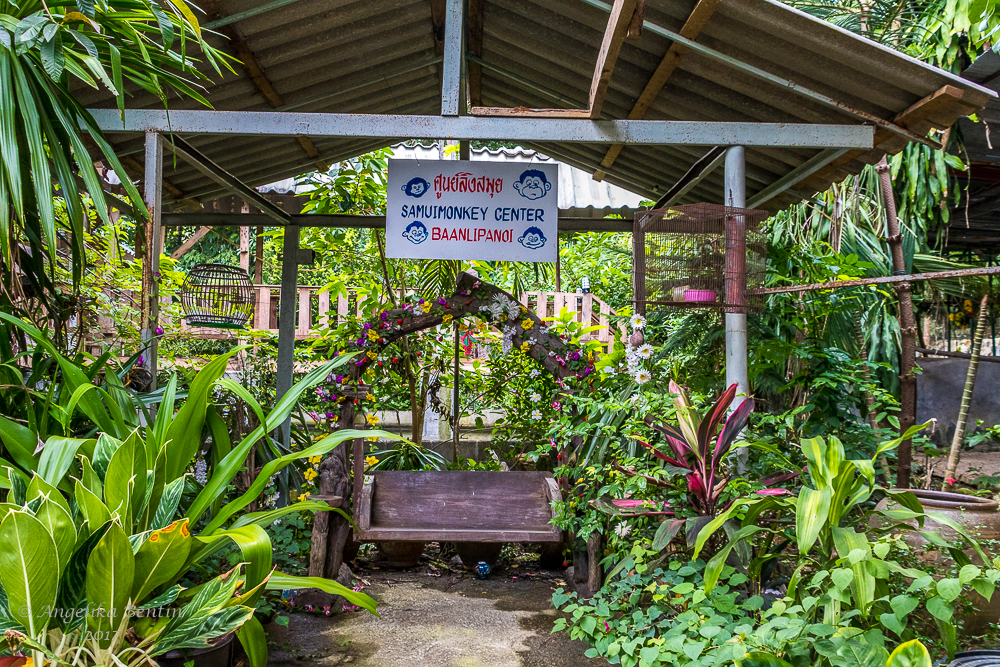 Samui Monkey Center
