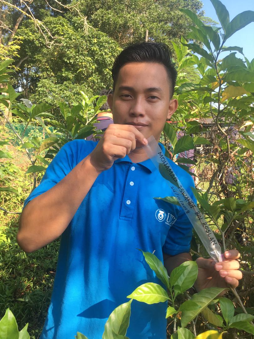 Minggu 7 : Cantuman Baji dan Bebawang