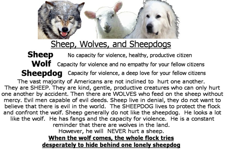 Functional Fitness with Willem Marais: On Sheep, Wolves, and Sheepdogs ...