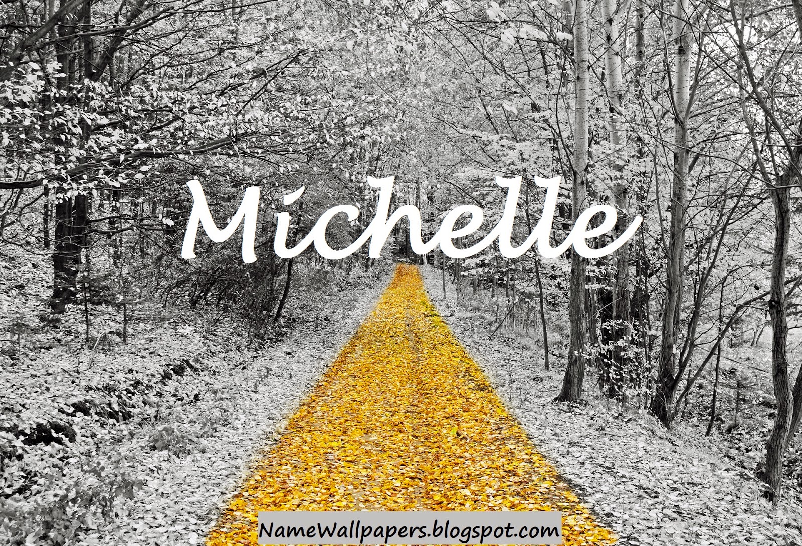 Michelle Name Wallpapers Michelle ~ Name Wallpaper Urdu Name Meaning ...
