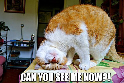 imdatruth: Ignoring What's Standing Here #iWish