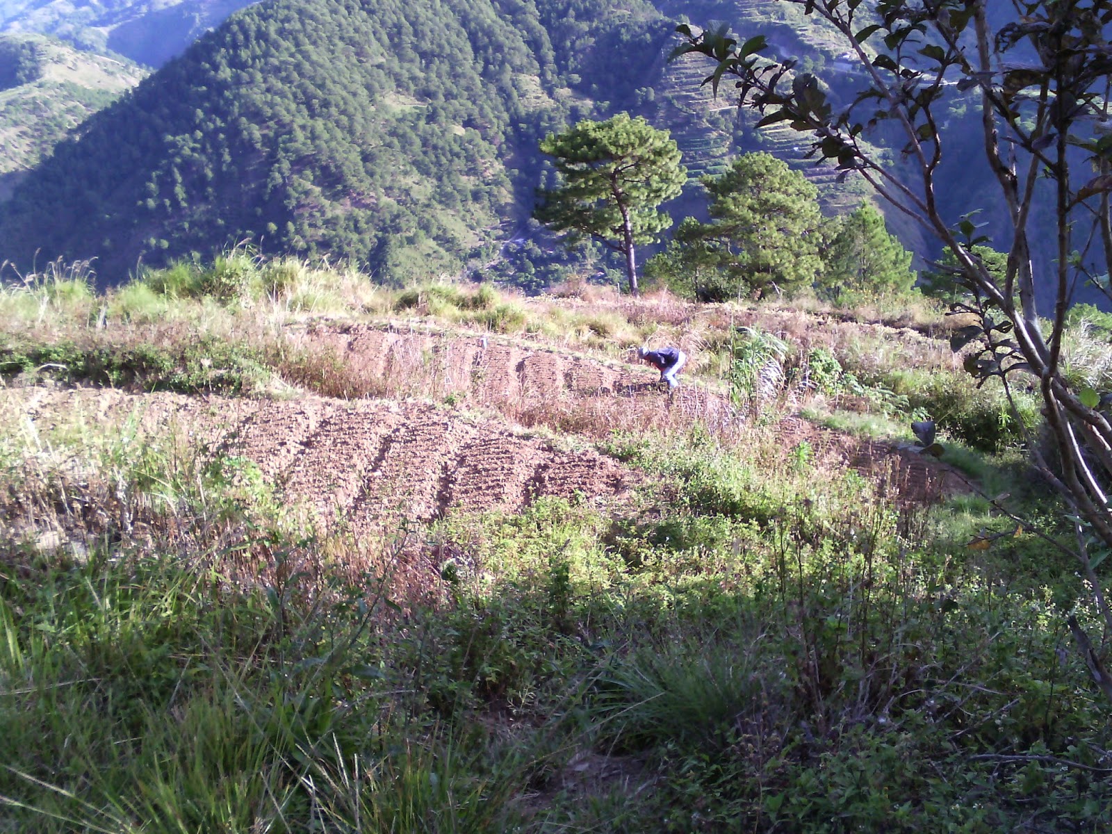 Travelling, Exploring and Getting Immersed @Philippines: Kabayen ...