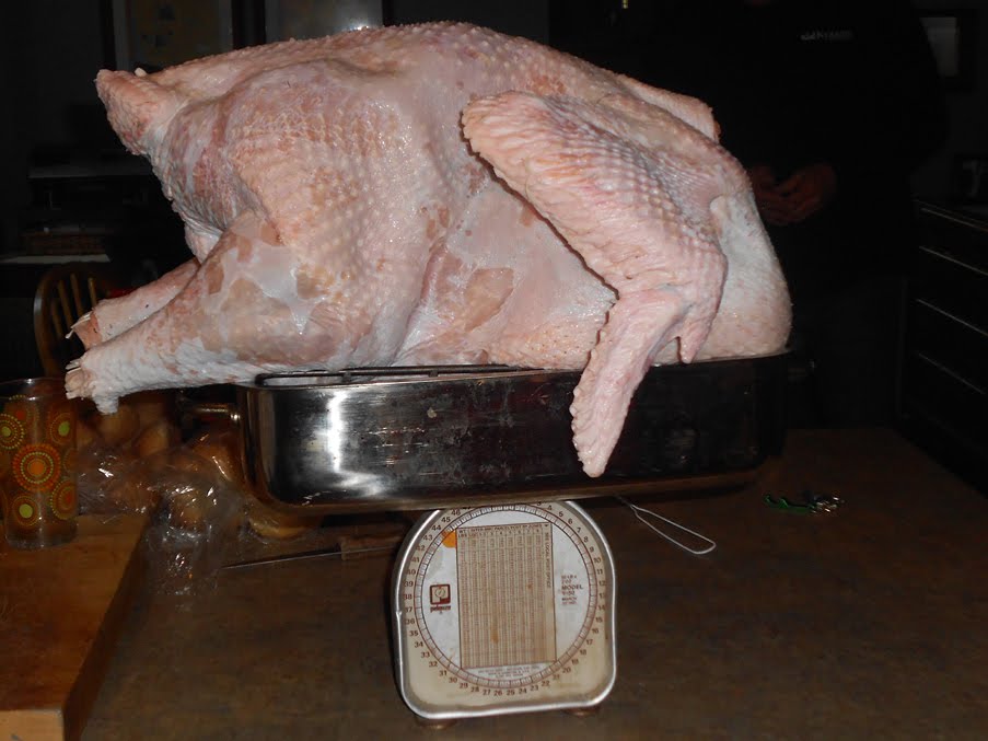 Suburban Sharecroppers