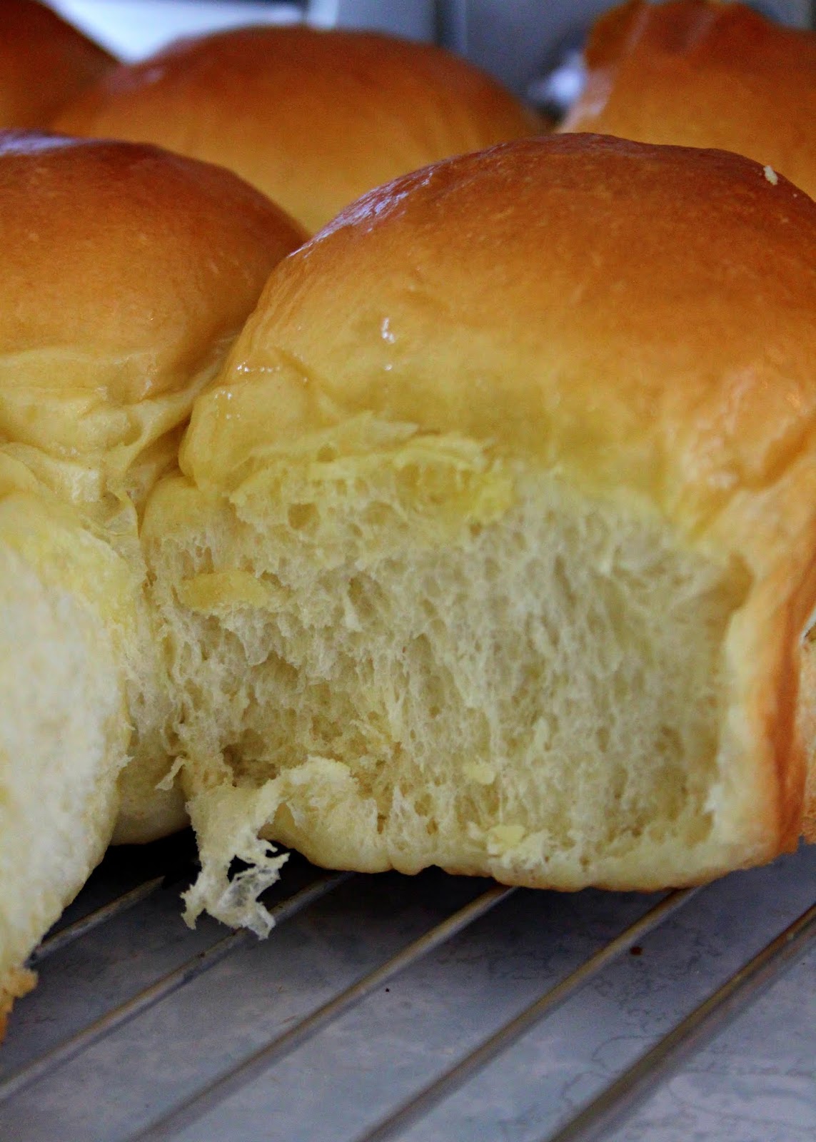 Jo and Sue: Hokkaido Milk Buns