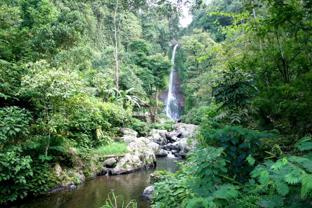 AMED TOUR BALI: Gitgit Waterfall