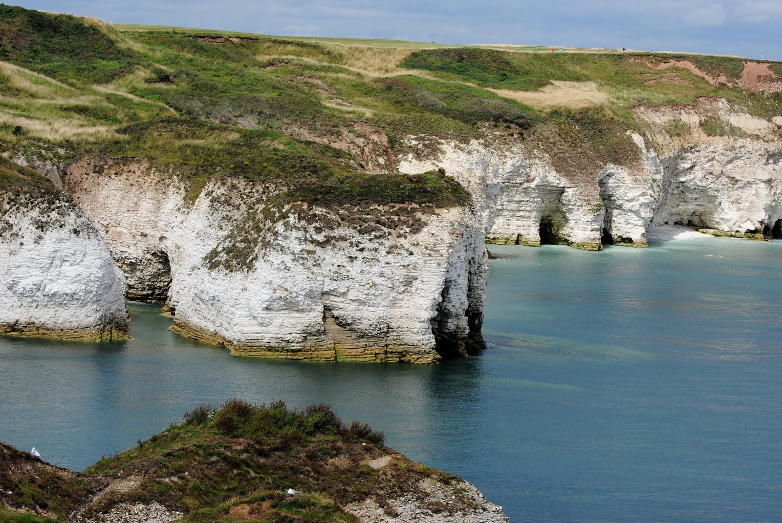 sh4rpy's birding blog: Bempton Cliffs and Flamborough Head