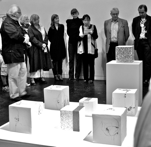 Christine Macé: Expositions