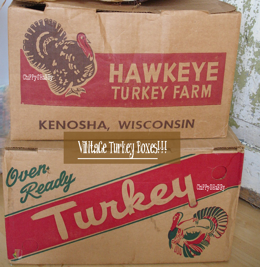 ChiPPy! - SHaBBy!: Chippy... Crusty... Rusty... WIRE BASKET!*!*!