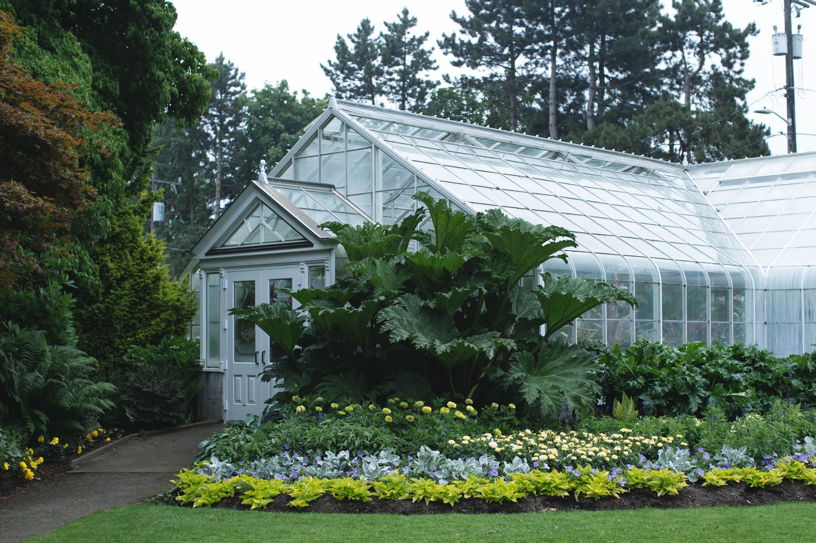 Lattes & Layers: Volunteer Park Conservatory in Seattle, WA