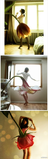 simply elixelle: 2012