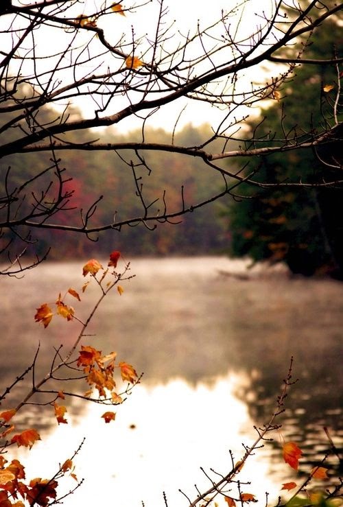 That Good Life Vibe: Fall is approaching... 25 Things To Look Forward To!