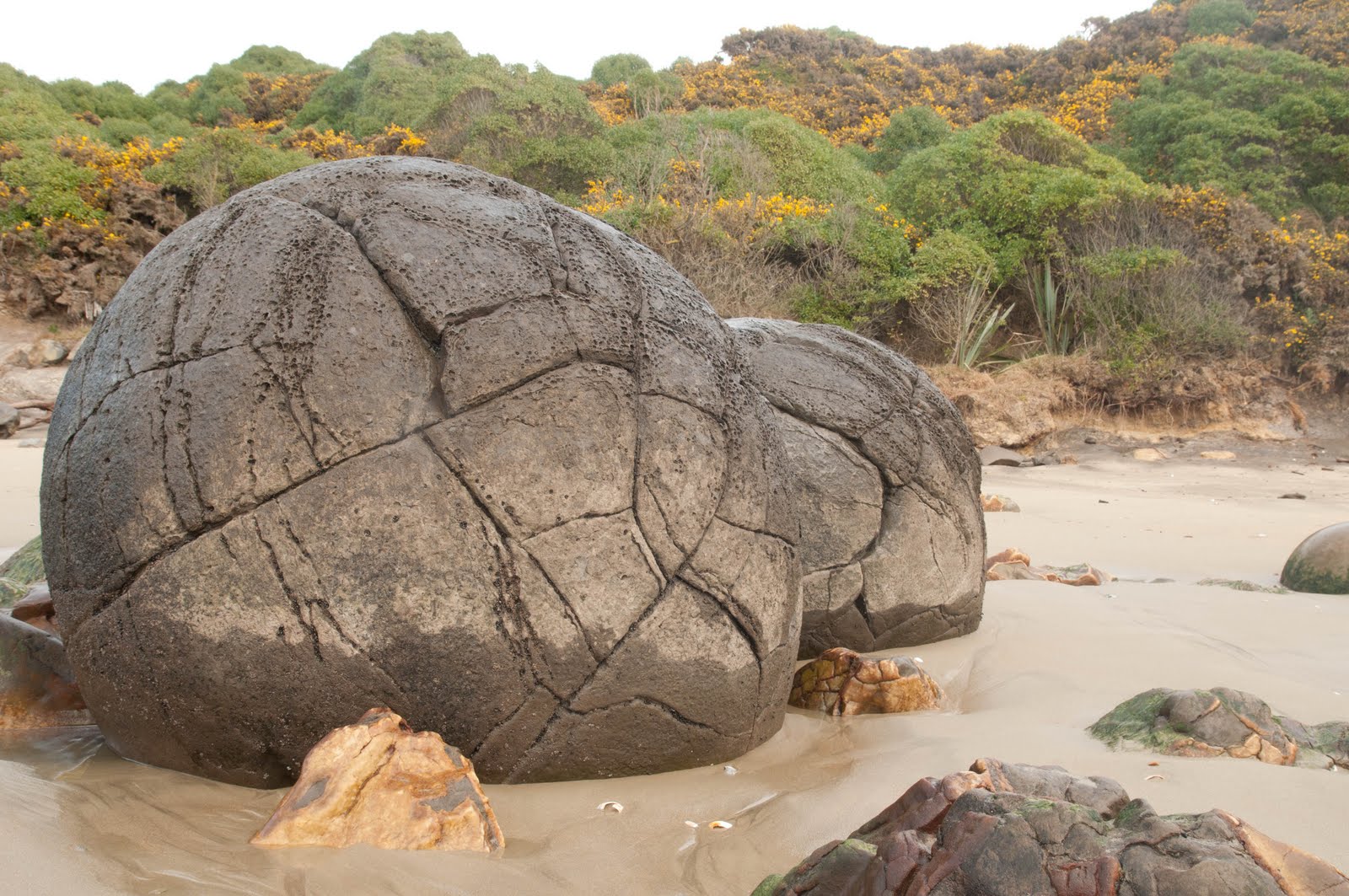 Remana taha Niu Tirani: MOERAKI, PIEDRAS REDONDAS