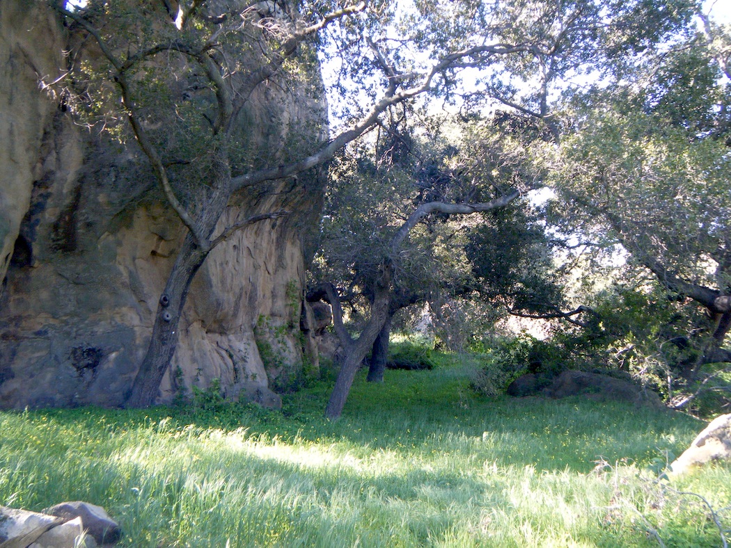 A drifting cowboy: Meanwhile back at the ranch -- Cap Rock
