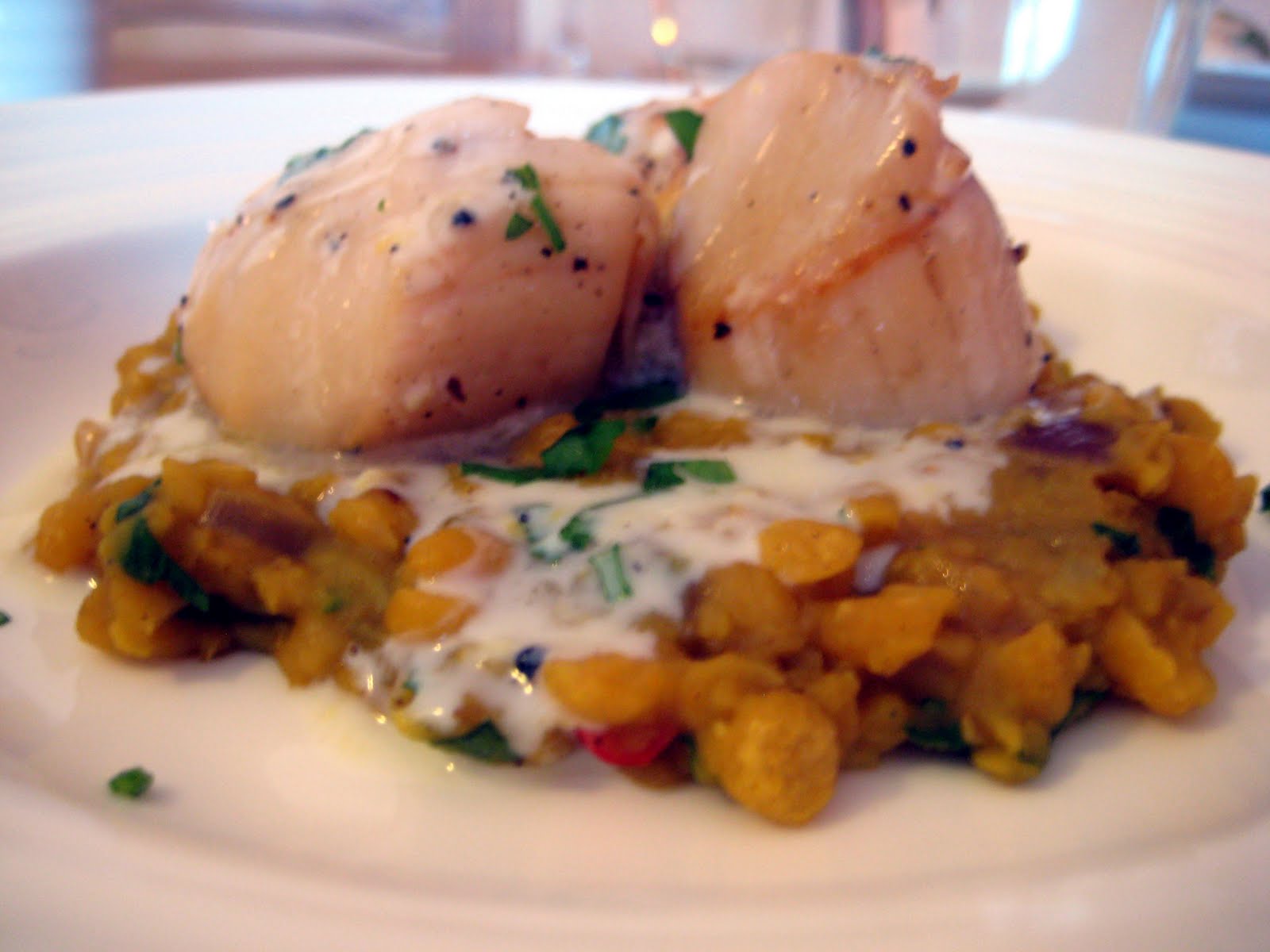 Serena's Medium Rare: Scallops on Curry Dhal, with a Minty Yogurt Dressing
