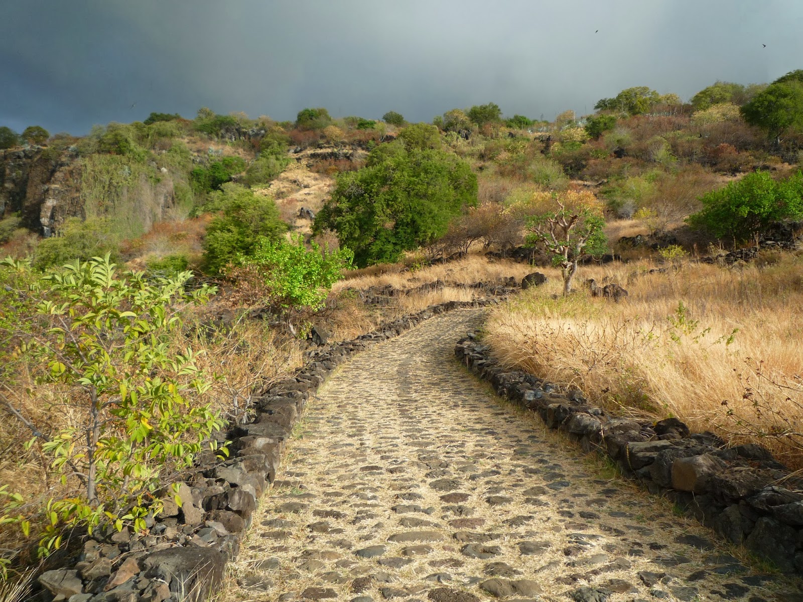 pierrem et laura outre mer: Saint Paul : le chemin pavé Lougnon ou ...